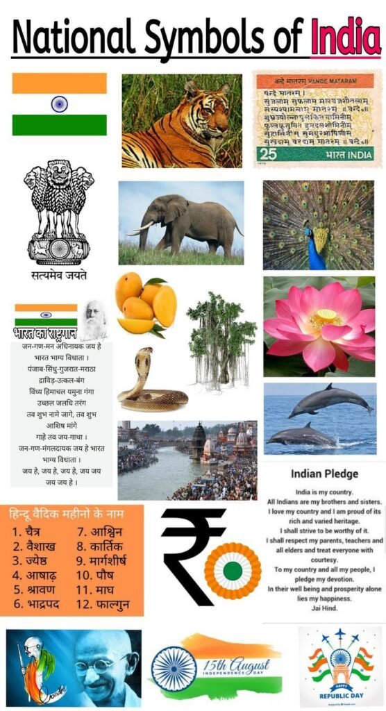 What Are the 17 National Symbols of India? Full List with Details